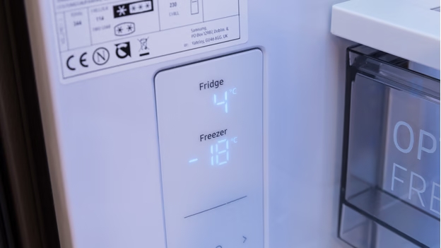 Ideal Fridge and Freezer Temperature for Food Storage