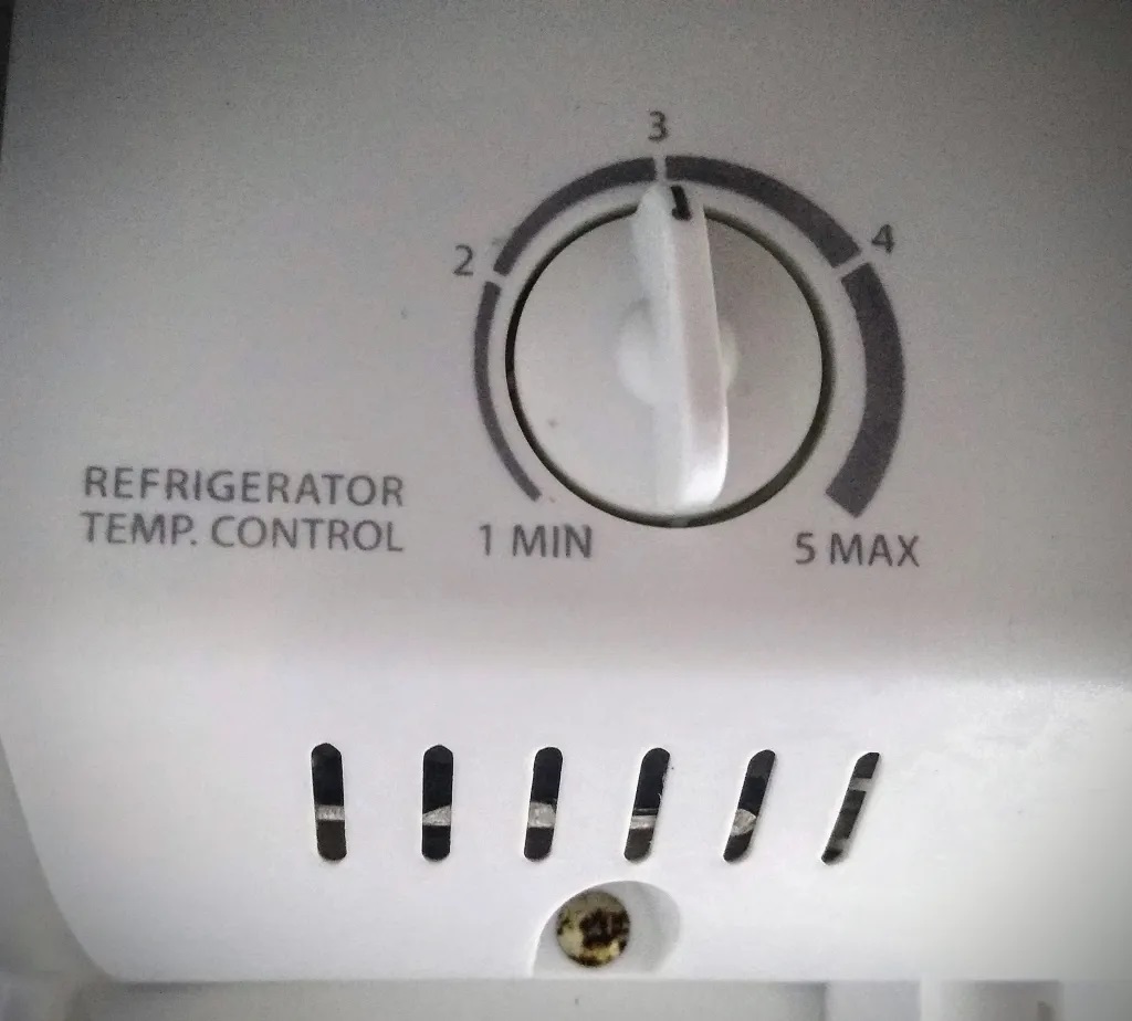 Ideal Fridge and Freezer Temperature for Food Storage